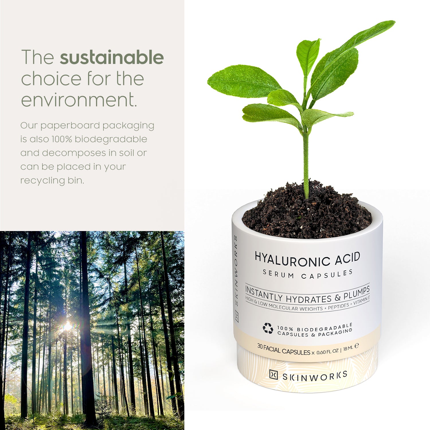 Hyaluronic Acid Serum Capsules – Skinworks